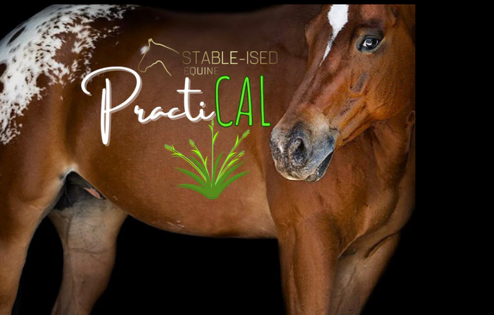PractiCAL – Equine Expression